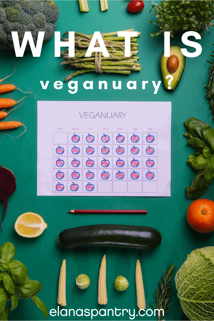 What is Veganuary | Elana's Pantry
